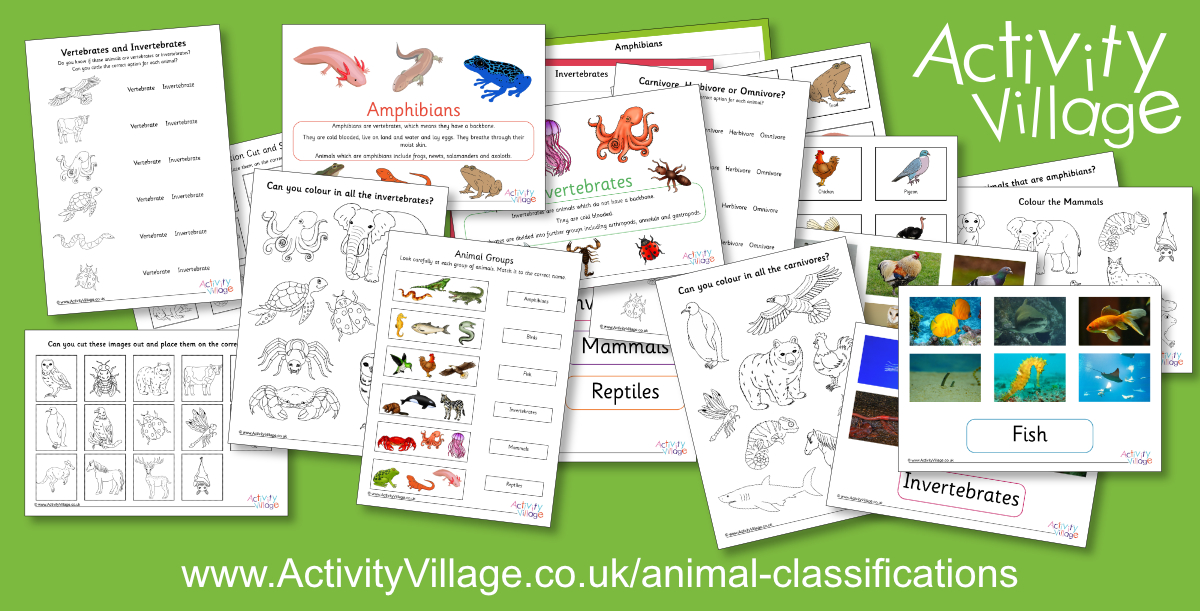 A New Animal Classifications Collection | Activity Village