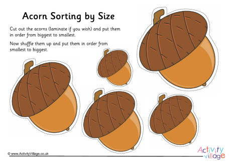 Acorn Size Sorting | Activity Village