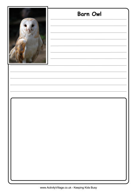 Owl Worksheets | Activity Village