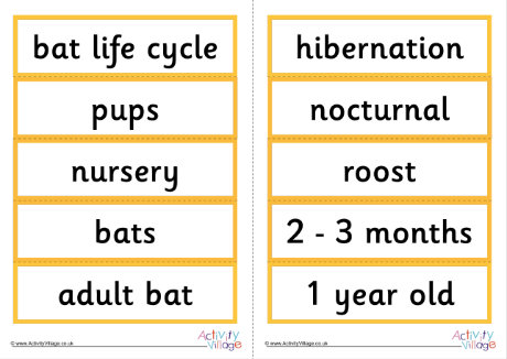 Life Cycle of a Bat | Activity Village
