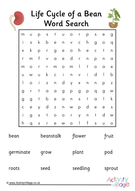 Word Searches for Kids