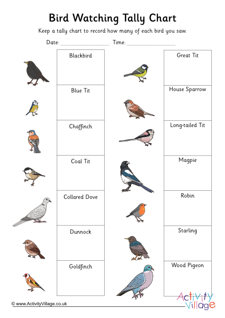 Birdwatching Tally Chart Grid | Activity Village
