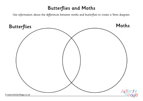 More Animal Worksheets | Activity Village