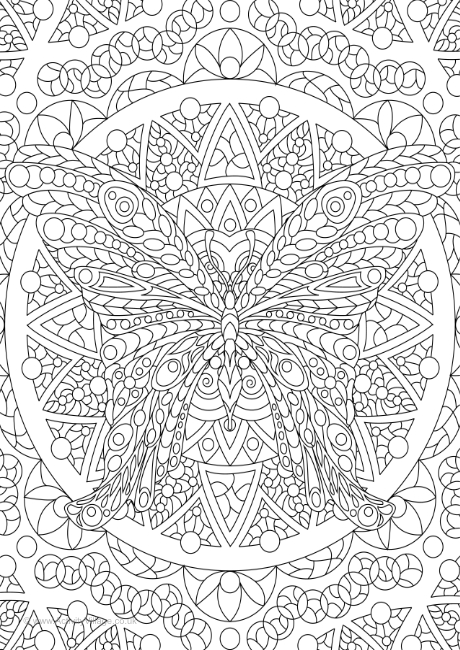 Butterfly Doodle Colouring Page 1 | Activity Village