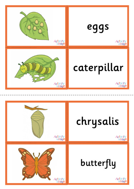 Butterfly Life Cycle Matching Cards | Activity Village