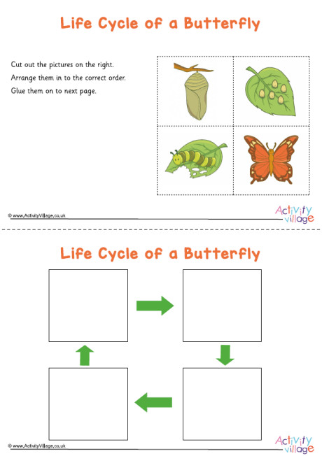Life Cycle of a Butterfly | Activity Village