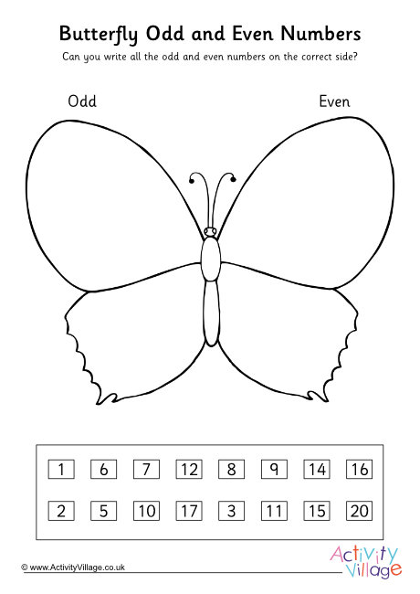 Odd and Even Numbers | Teaching Resources