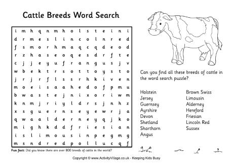 Word Searches for Kids