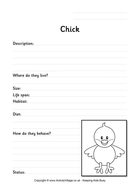 Chick Worksheet | Activity Village