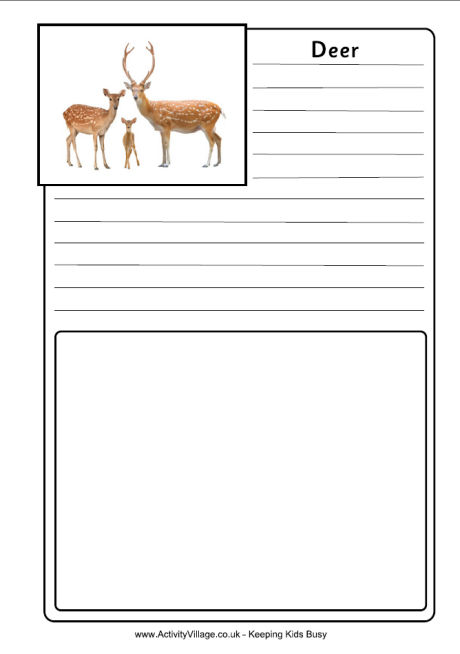 Animal Notebooking Pages | Activity Village