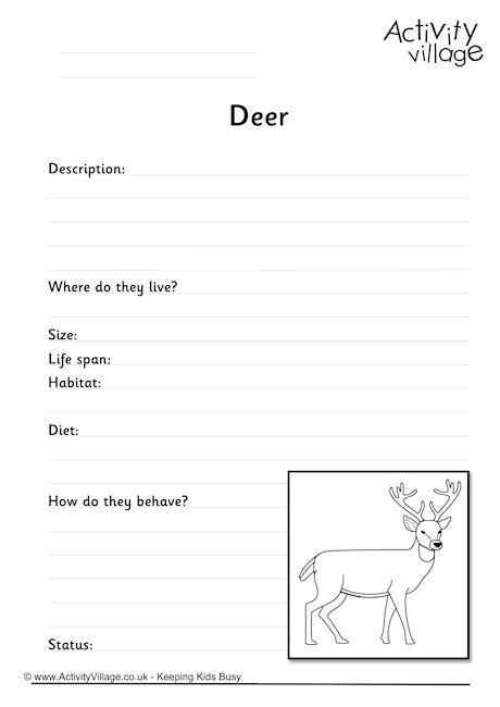 Deer for Kids