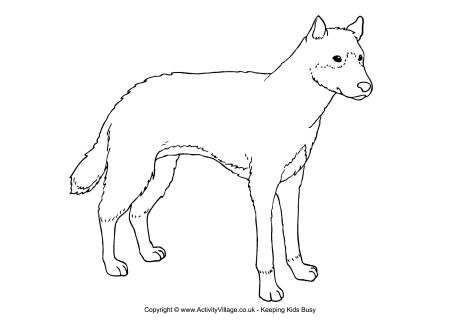 Dingo Colouring Page | Activity Village