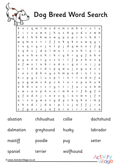 Word Searches for Kids