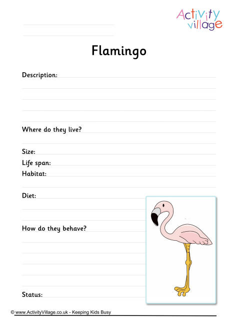 Flamingo Activities for Kids