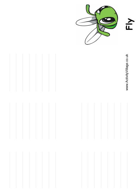 Fly Booklet | Activity Village