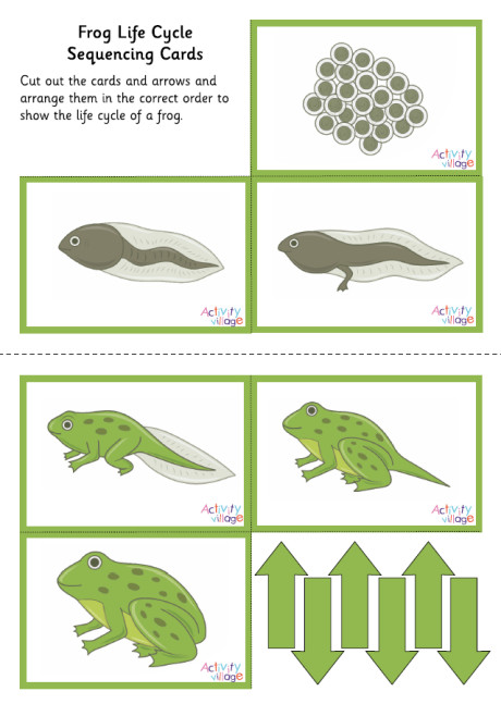 Frog Printables | Activity Village