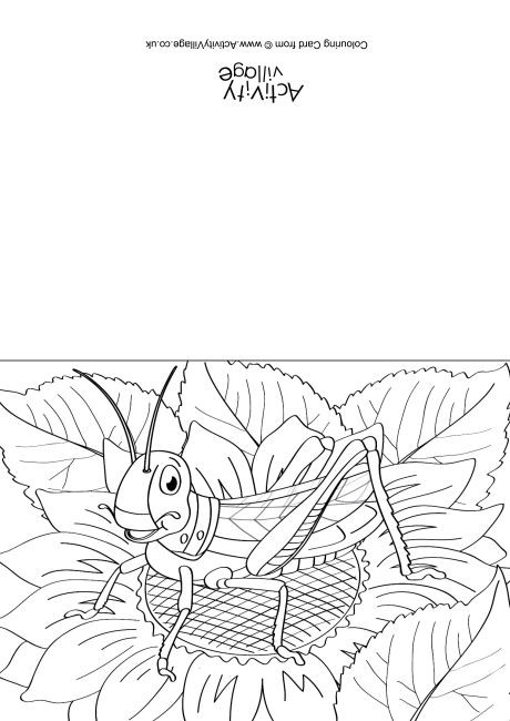 Minibeast Colouring Pages | Activity Village
