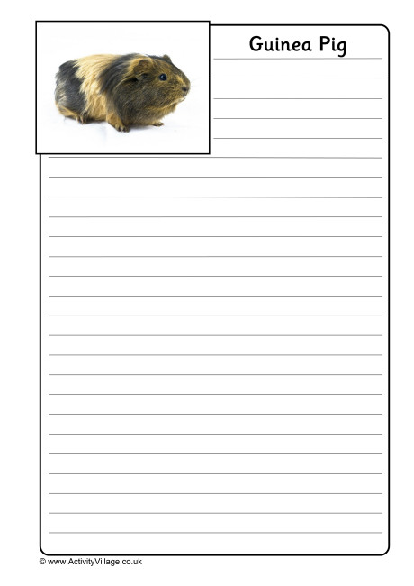 Animal Notebooking Pages | Activity Village