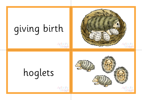 Hedgehog Printables | Activity Village
