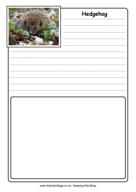 Hedgehog Worksheets | Activity Village