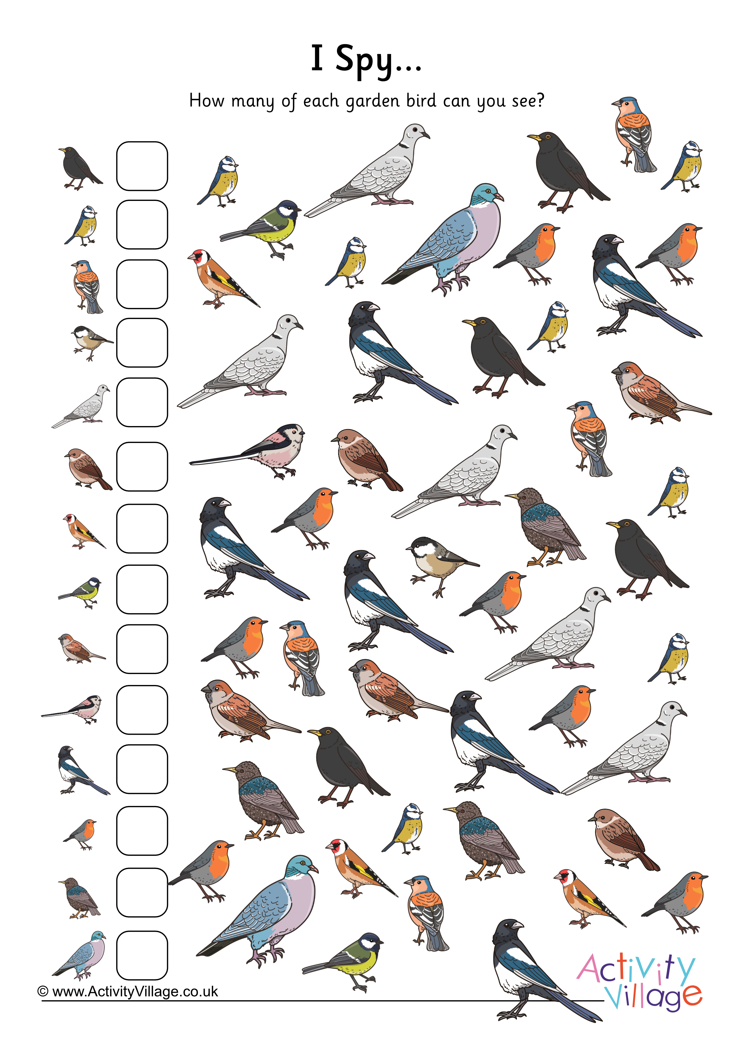 I Spy Garden Bird Counting | Activity Village