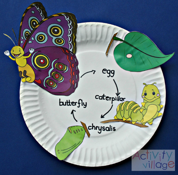 Guest Post - Learning About The Butterfly Life Cycle | Activity Village