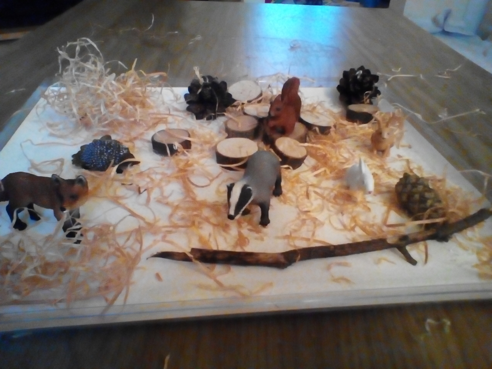 Animal Activity Ideas for Early Years | Activity Village