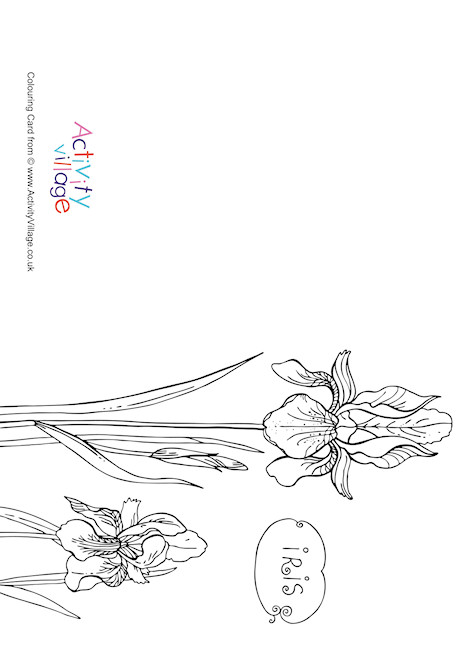 Iris Colouring Card | Activity Village
