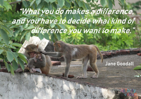 Jane Goodall for Kids