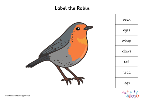 Label Parts of a Bird | Activity Village