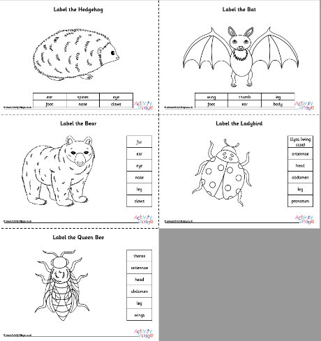 Label the Hibernating Animals Worksheets | Activity Village