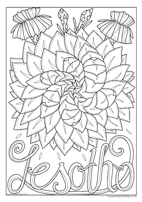 Lesotho National Flower Colouring Page | Activity Village