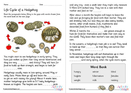 Hedgehog Worksheets | Activity Village