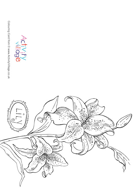 Lily Colouring Card | Activity Village