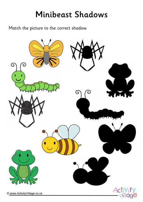 Minibeast Shadow Puzzle | Activity Village