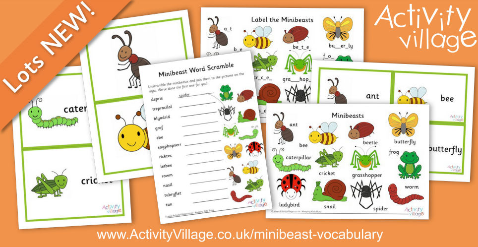 Minibeast Vocabulary Resources with our Extra Cute Minibeast ...
