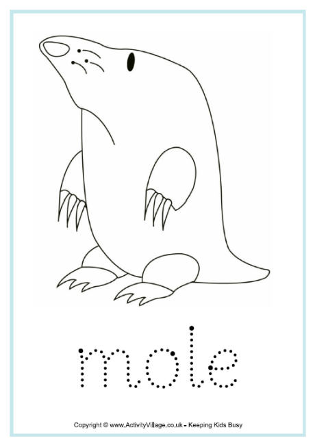 Mole Worksheets | Activity Village