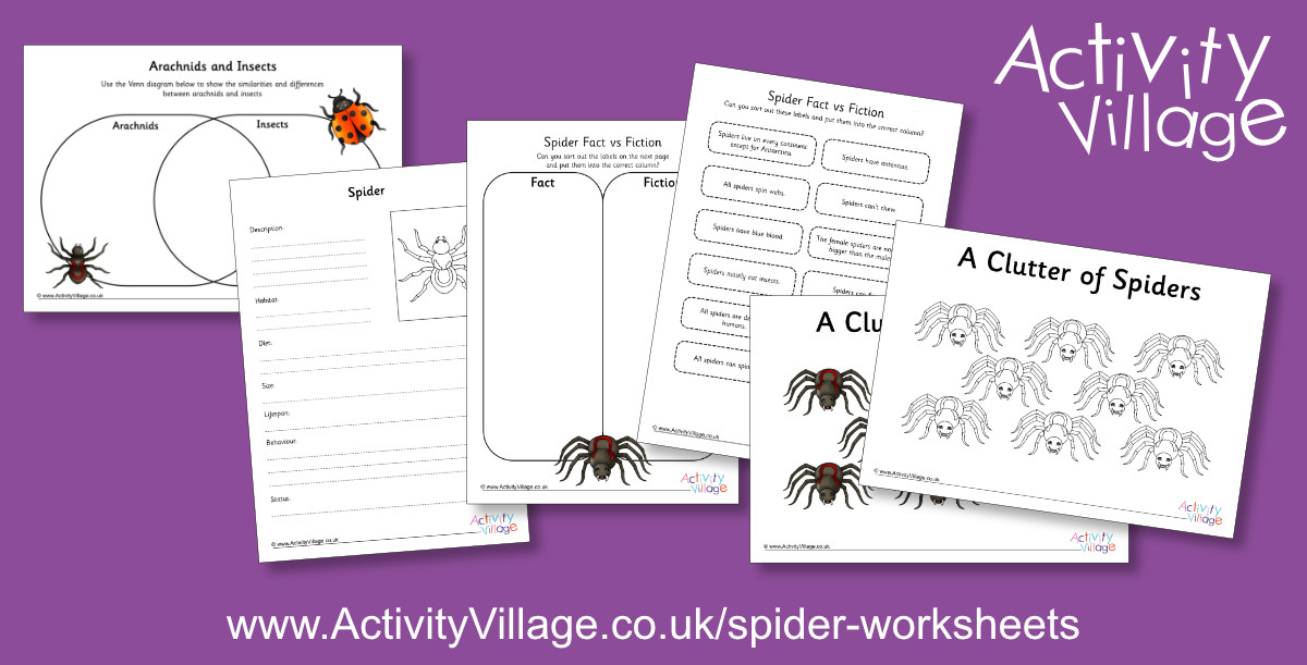 New Spider Worksheets | Activity Village