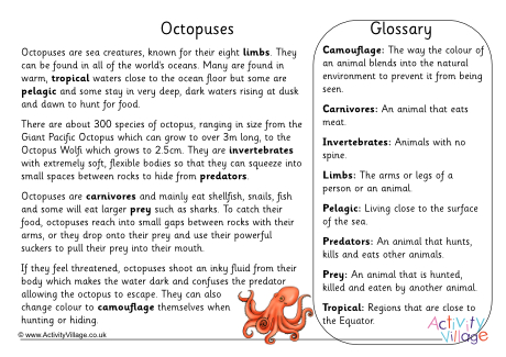 Octopus Fact Sheet | Activity Village