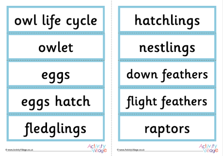 Owl Printables | Activity Village