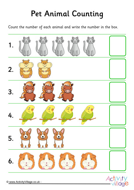 Pet Animal Counting 2 | Activity Village