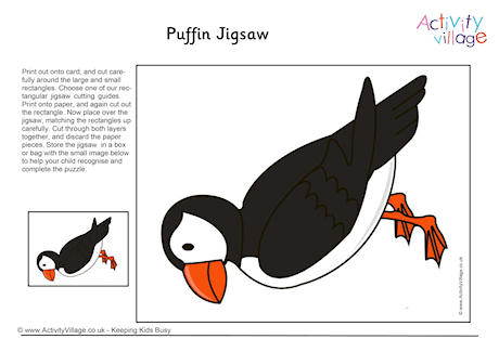 Puffins for Kids