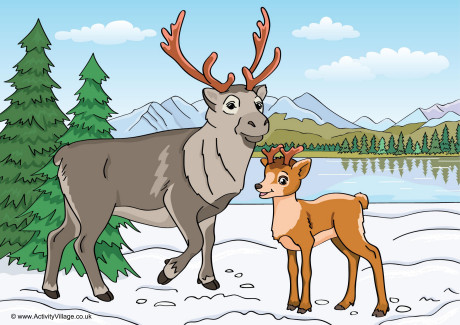 Reindeer Printables | Activity Village