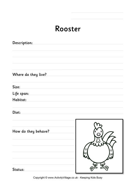 Year of the Rooster Worksheets | Activity Village