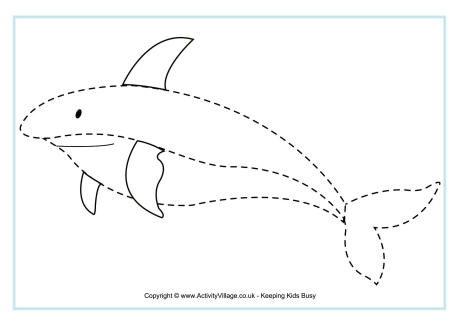 Shark Tracing Page | Activity Village