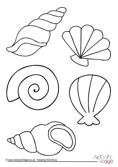 Shell Colouring Page | Activity Village