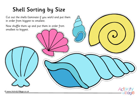 Shell Size Sorting | Activity Village