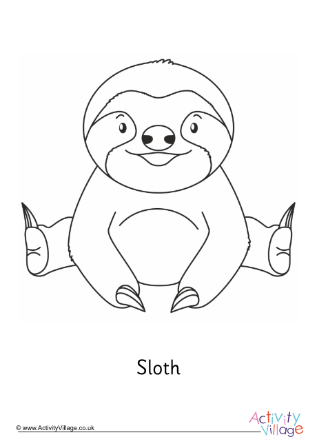 Learning about Sloths | Activities for Kids