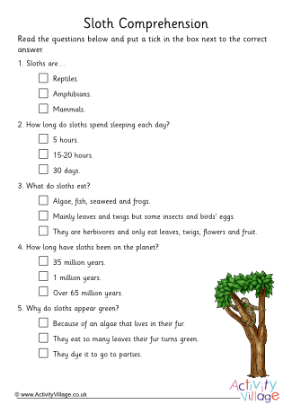 Learning about Sloths | Activities for Kids
