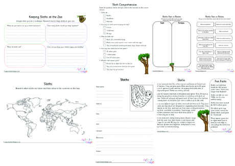 Learning about Sloths | Activities for Kids